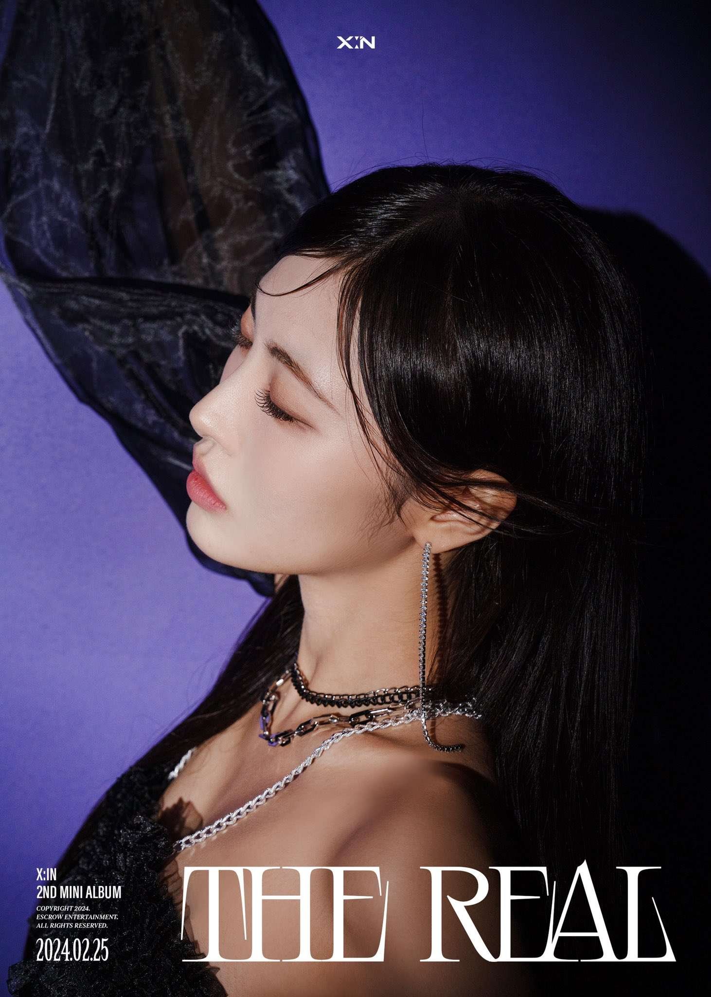 Nizz Profile (X:IN) [updated]